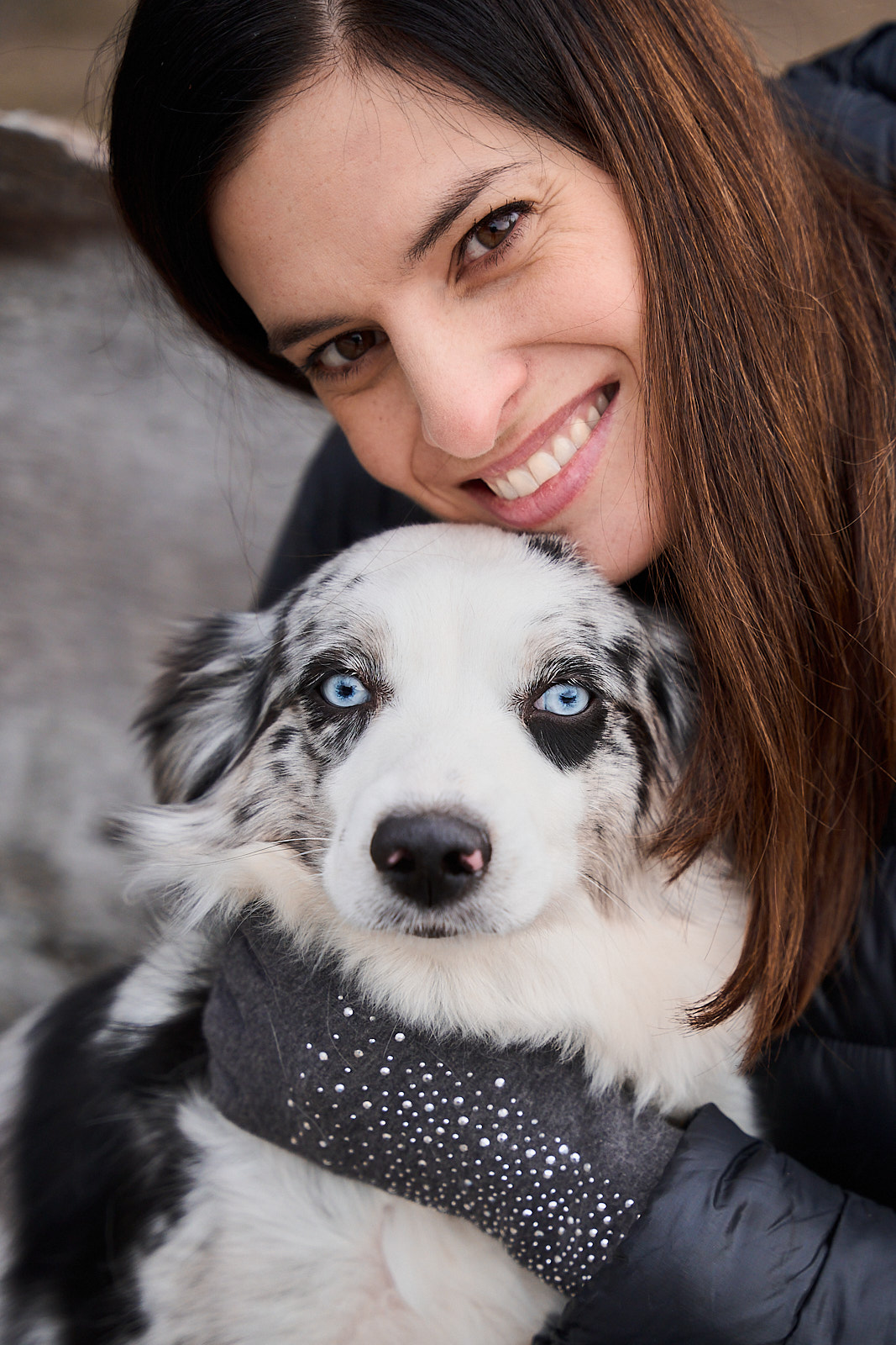 Über uns – Miniature Australian Shepherds Tirol